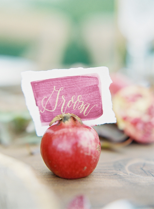 Blush and Merlot Color Palette Inspiration By Jessica Kay Photography ...